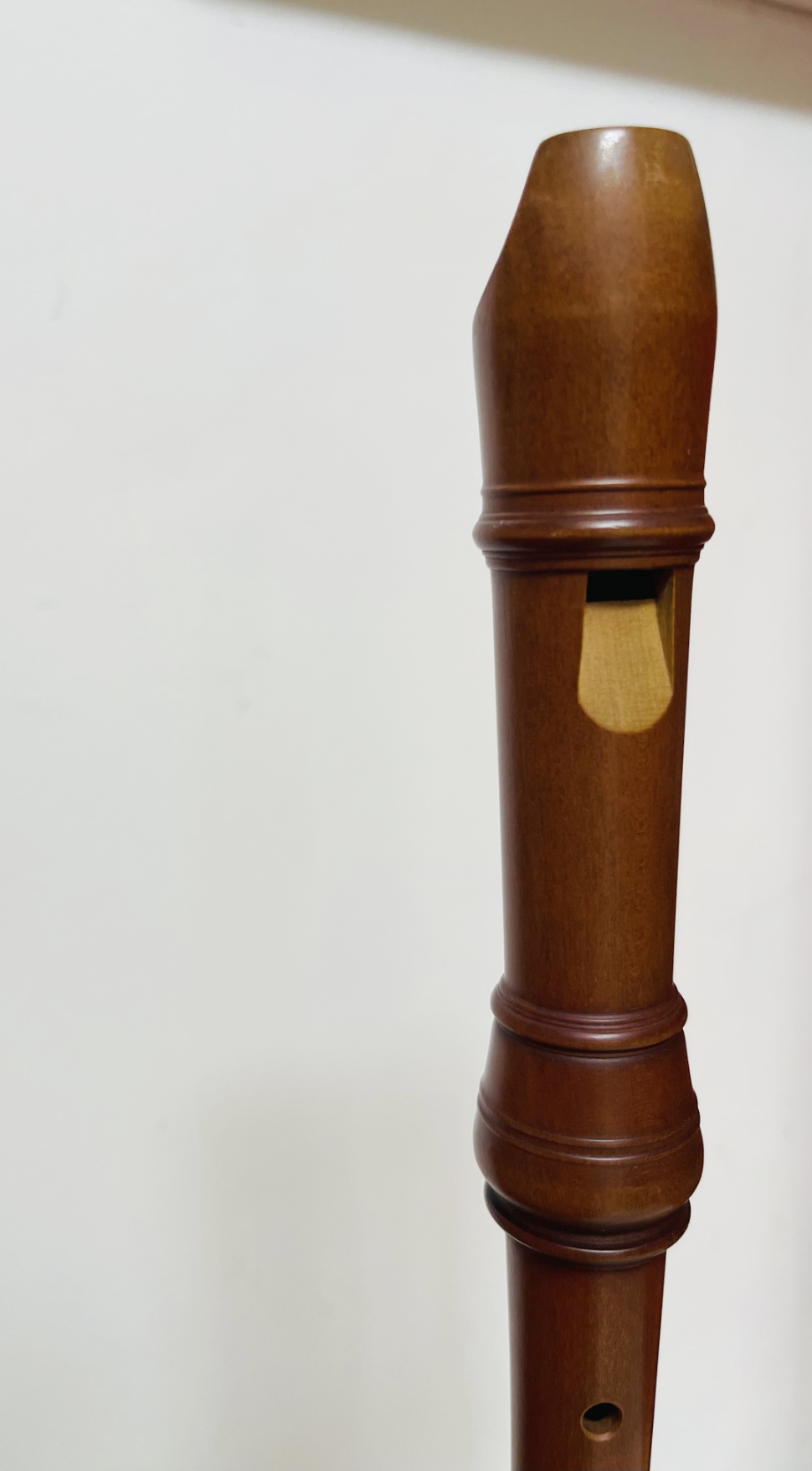 Baroque Soprano Recorder by Takeyama After Denner — EUR 700 £450 ...